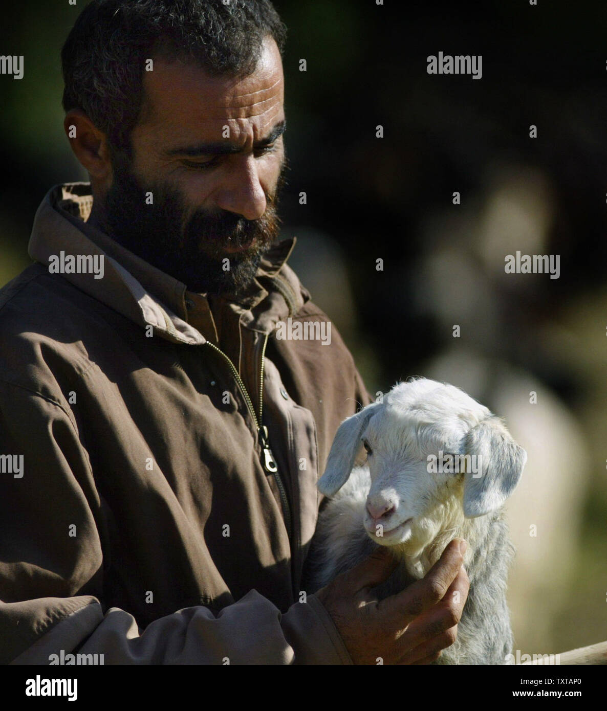 Sari iran hi-res stock photography and images - Alamy