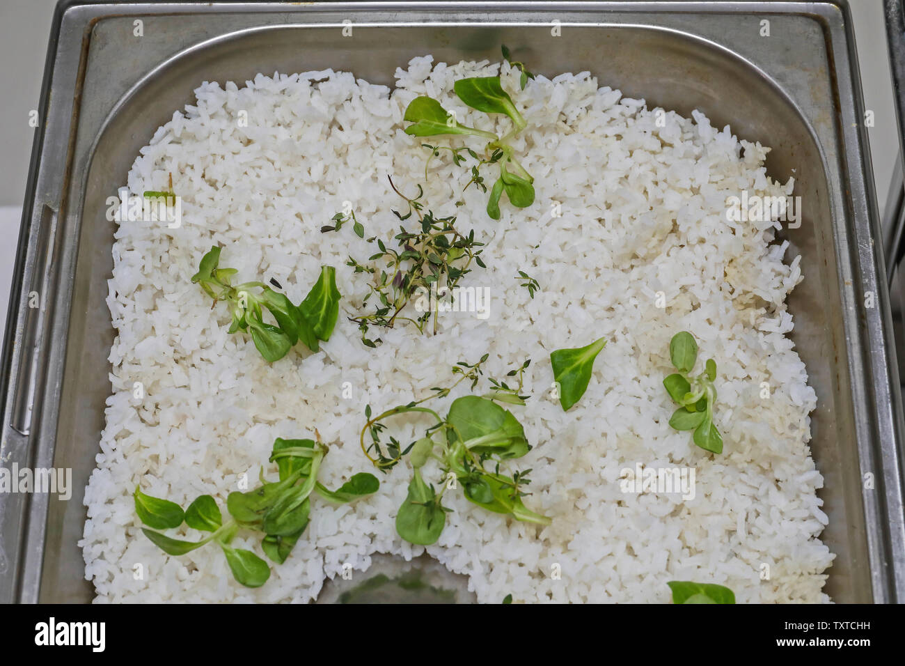 Prepared White Rice Asian Food in Tray Stock Photo - Alamy