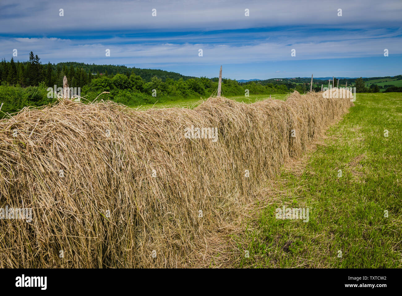 Hay drying rack hi-res stock photography and images - Alamy
