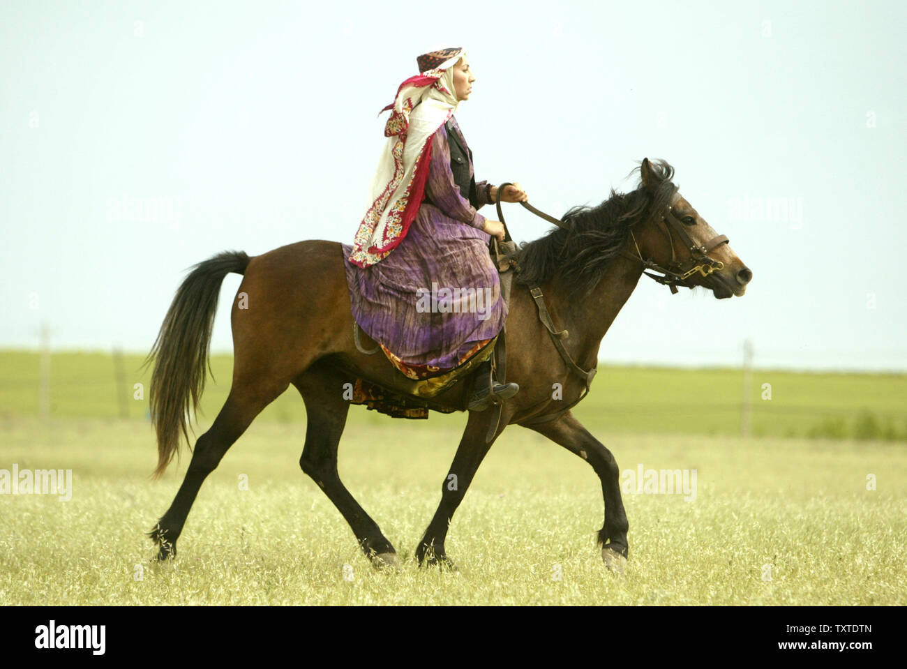An Iranian woman rides a horse during Ashayer Immigration festival in ...