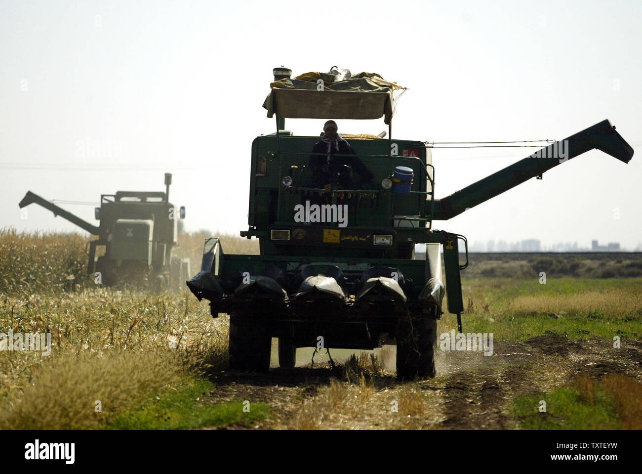 Iranian farm hi-res stock photography and images - Alamy