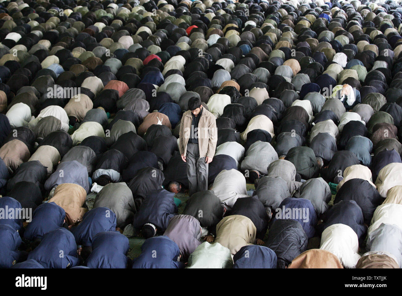 Iranian worshipers pray during Friday Prayer at Tehran University ...