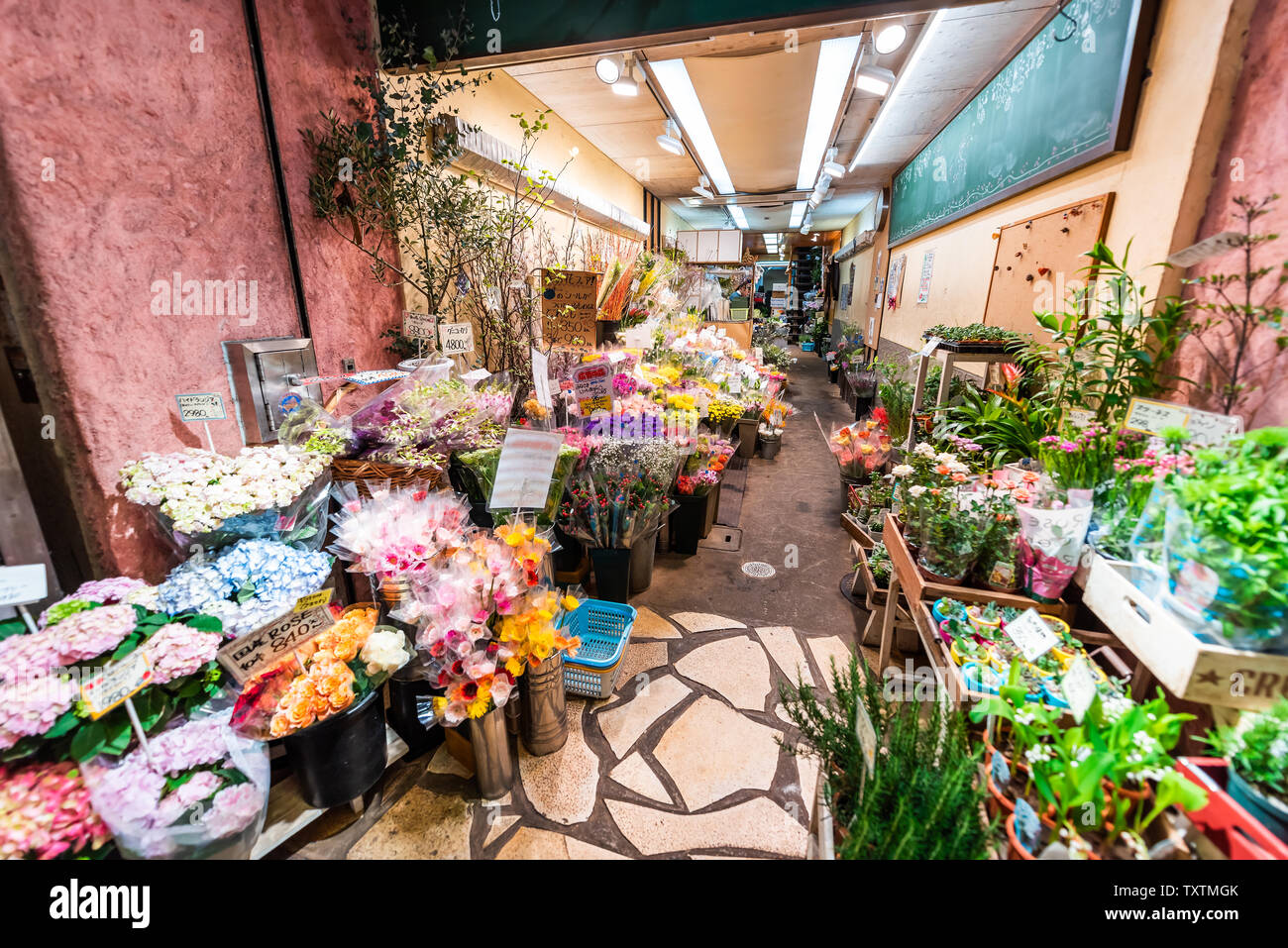 Japanese flower arrangements hi-res stock photography and images - Alamy
