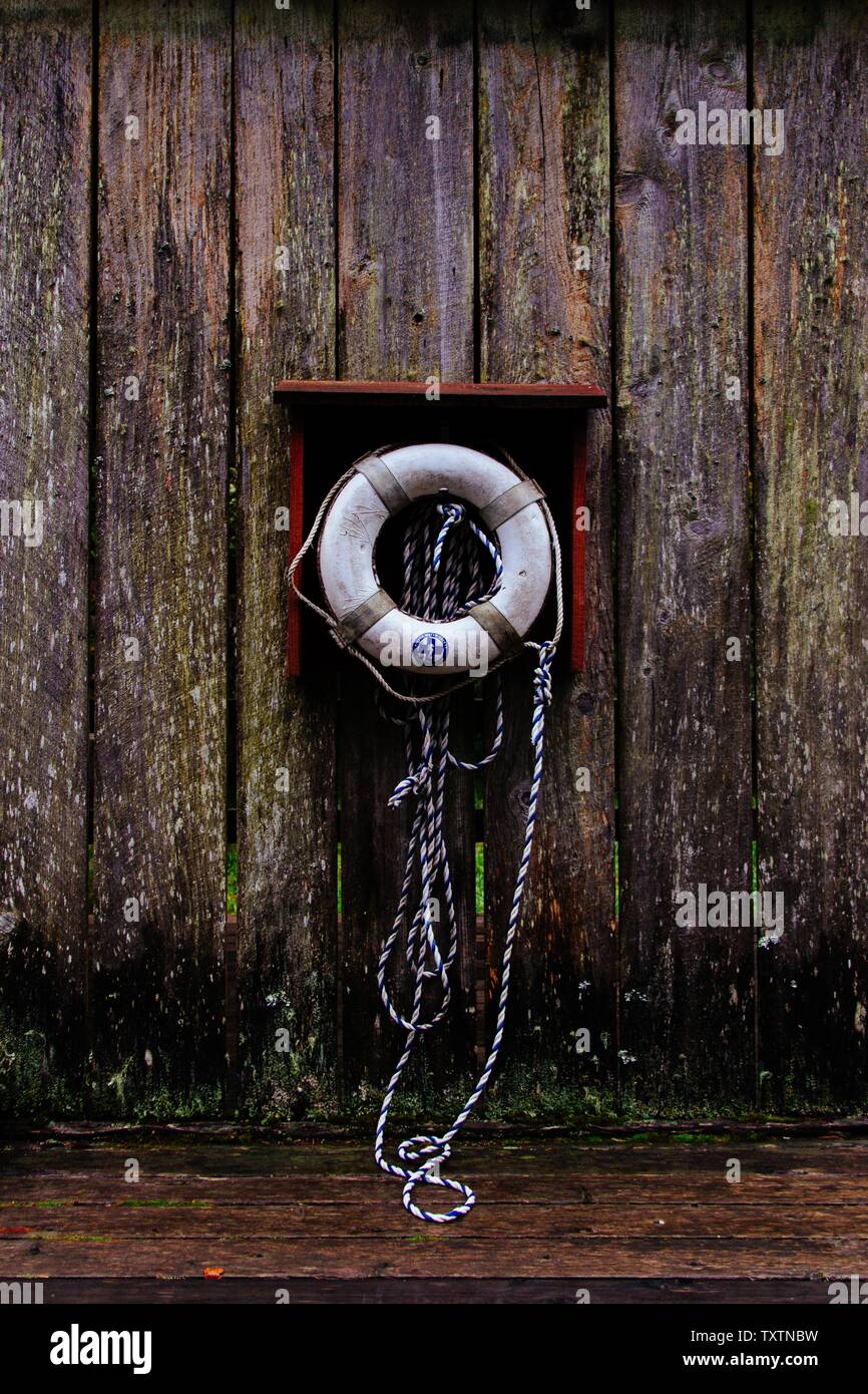 Lifebuoy ring on tree hi-res stock photography and images - Alamy