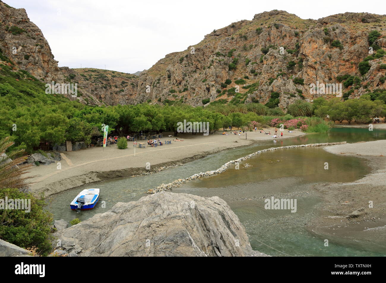 Palm tree in the preveli gorge hi-res stock photography and images - Alamy