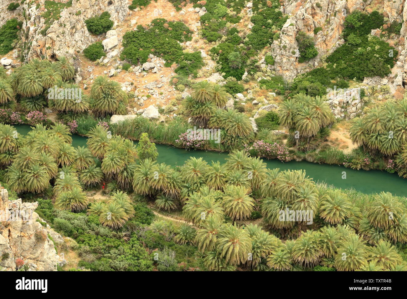 view around River and palm forest at Preveli, southern Crete in Greece ...