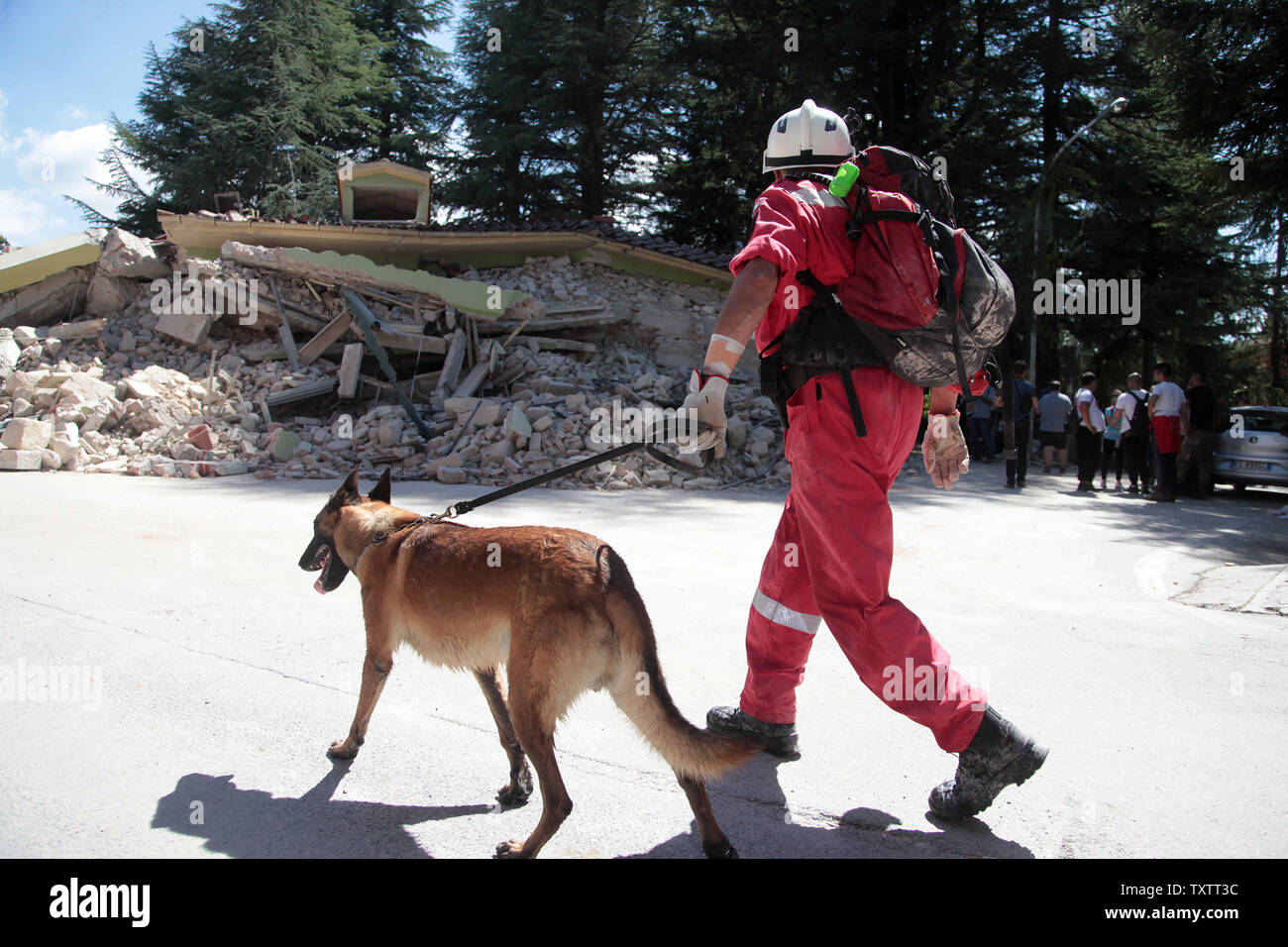 Detection dogs hi-res stock photography and images - Alamy