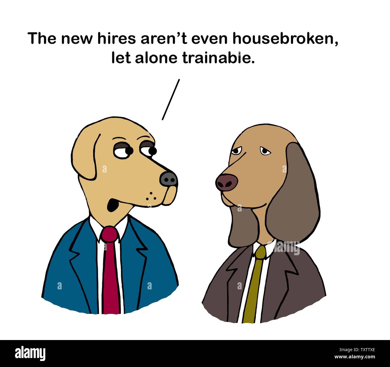 VP warns boss that new hires are not housebroken Stock Photo - Alamy