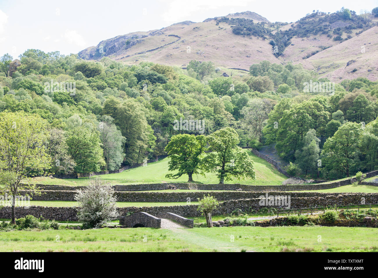 Ambleside,The Lake District,Lake District,The Lakes,Lakes,The Lake ...
