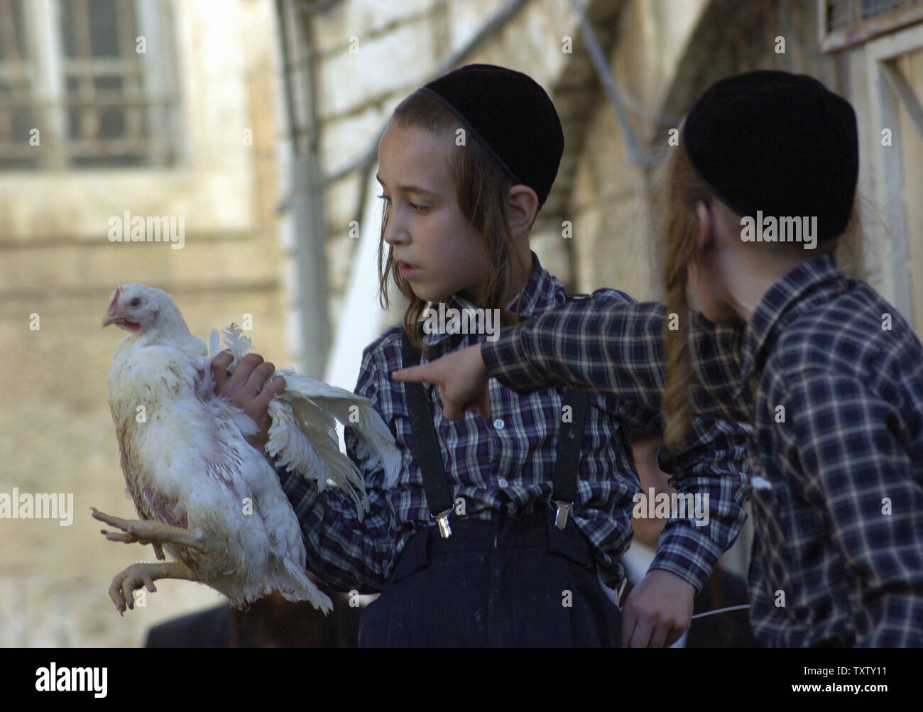 An Israeli Ultra-Orthodox boy holds a chicken in Mea Shearim in ...