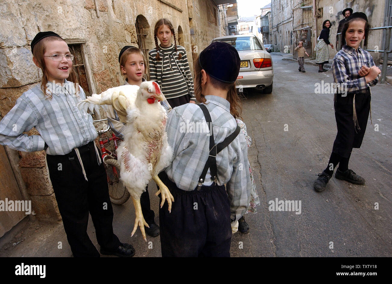 An Ultra-orthodox boy holds a chicken to be used in the ancient ritual ...