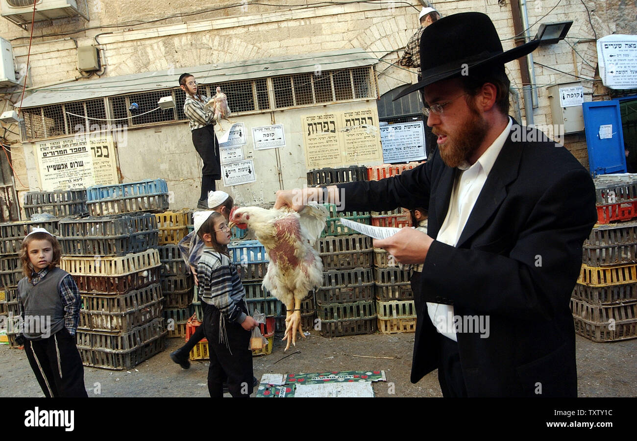 An Ultra-orthodox man holds a chicken during the ancient ritual ...