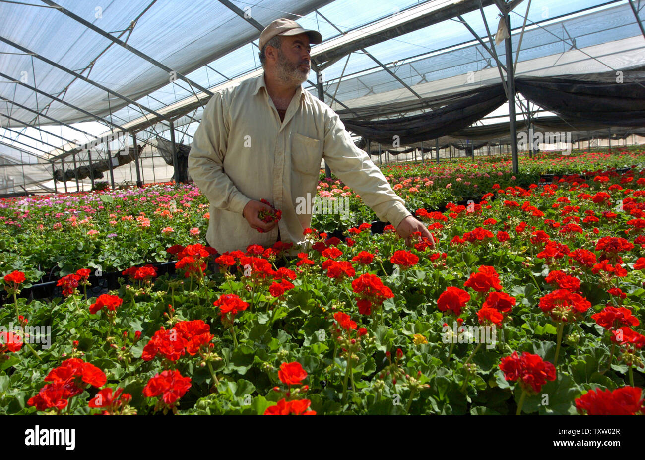 Gush katif hi-res stock photography and images - Alamy