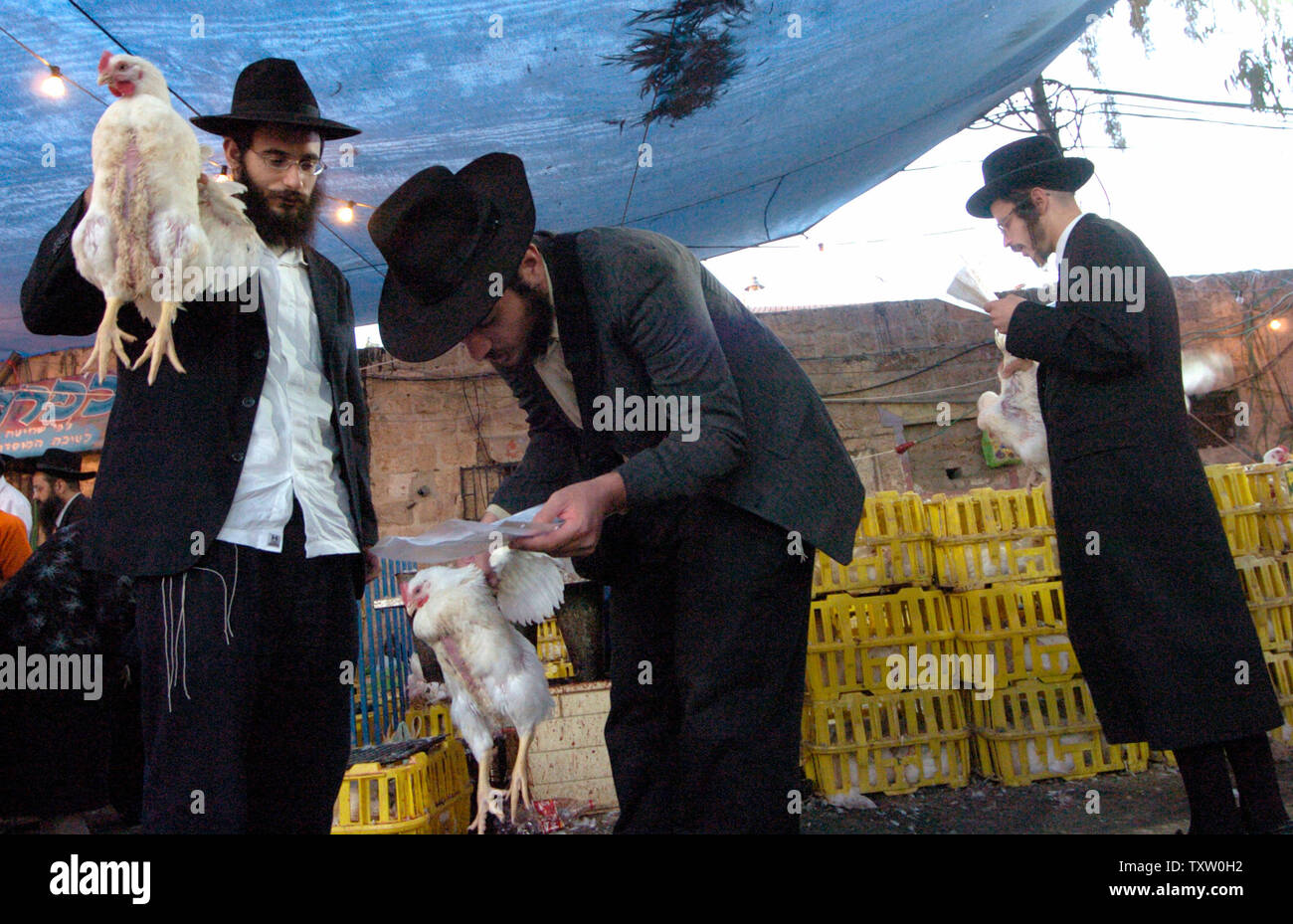 Transfered from it hi-res stock photography and images - Alamy