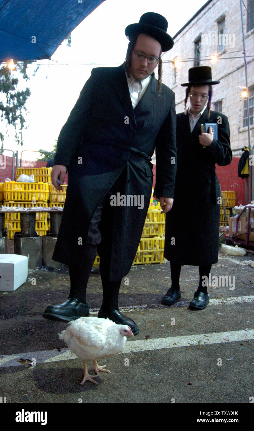 Transfered from it hi-res stock photography and images - Alamy