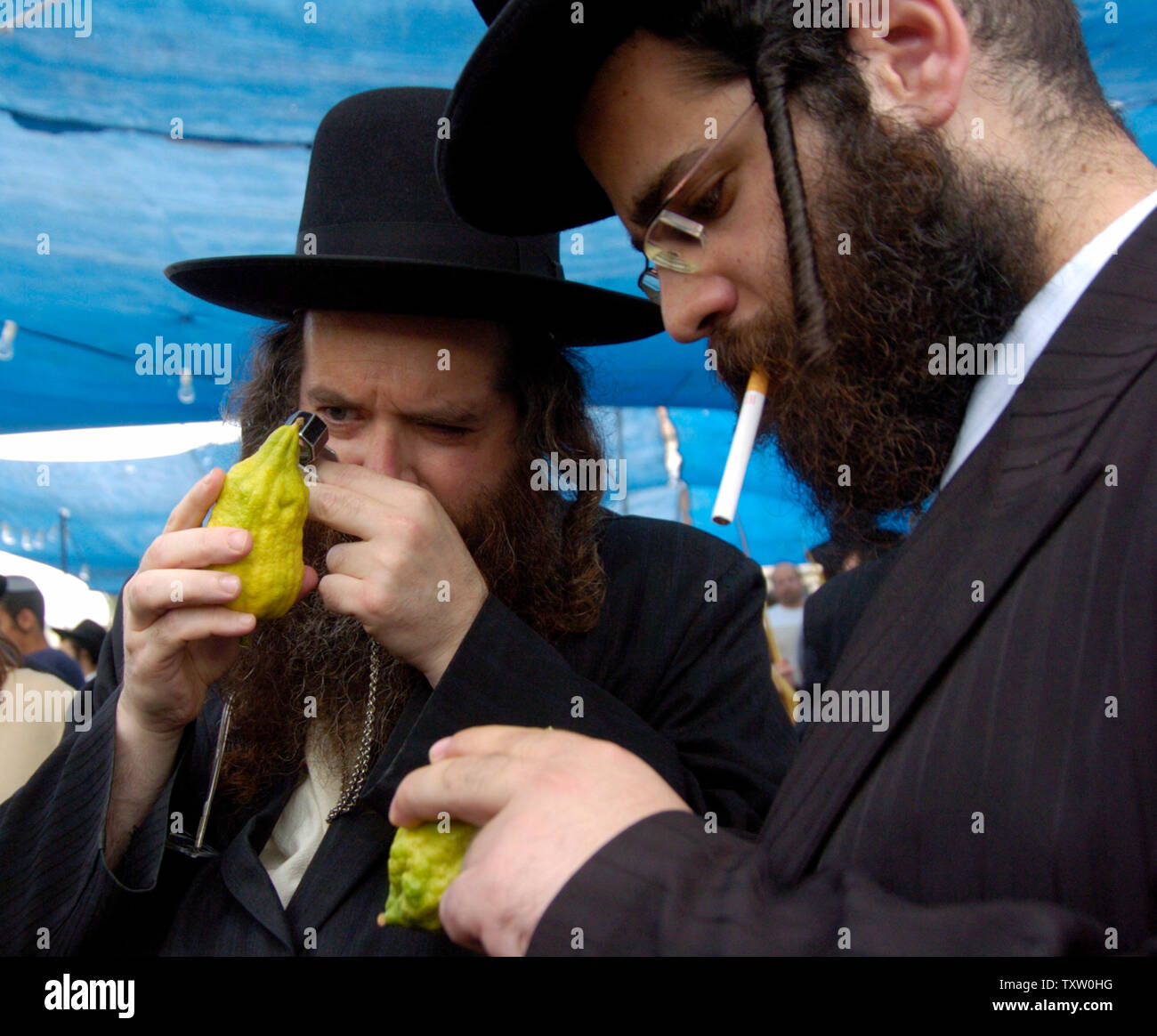 Etrog ritual fruit hi-res stock photography and images - Alamy