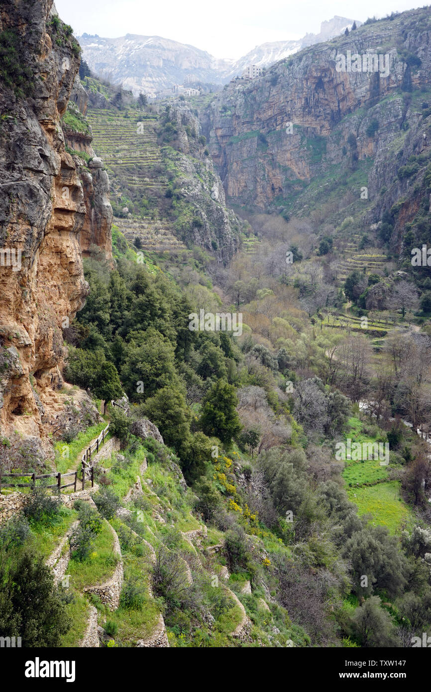 Quadisha hi-res stock photography and images - Alamy