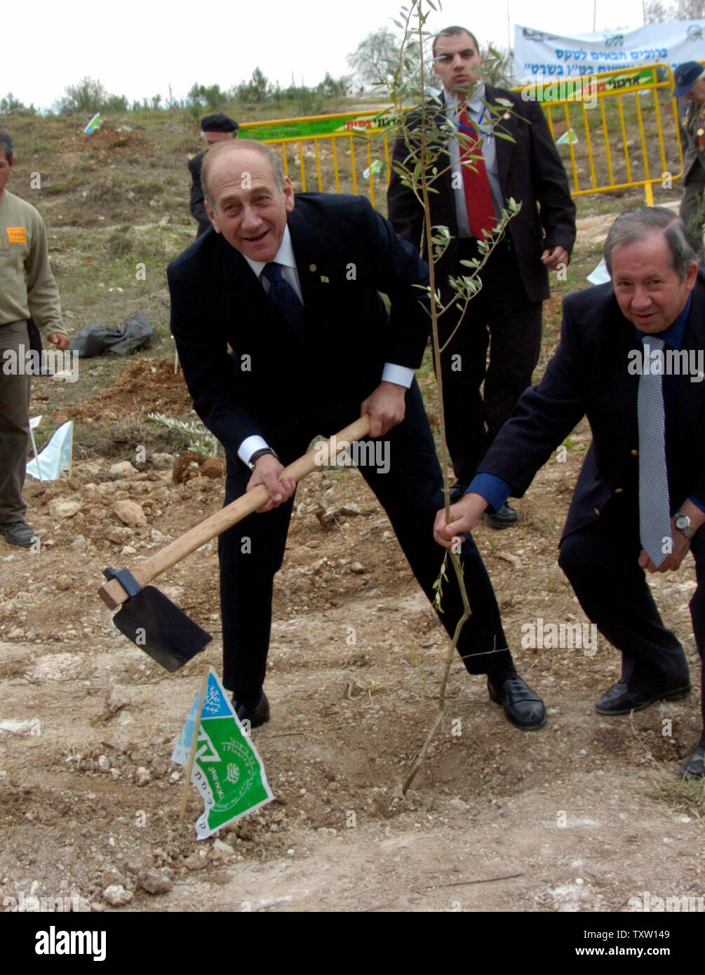 Acting Israeli Prime Minister Ehud Olmert plants a tree at a Tu B'Shvat ...