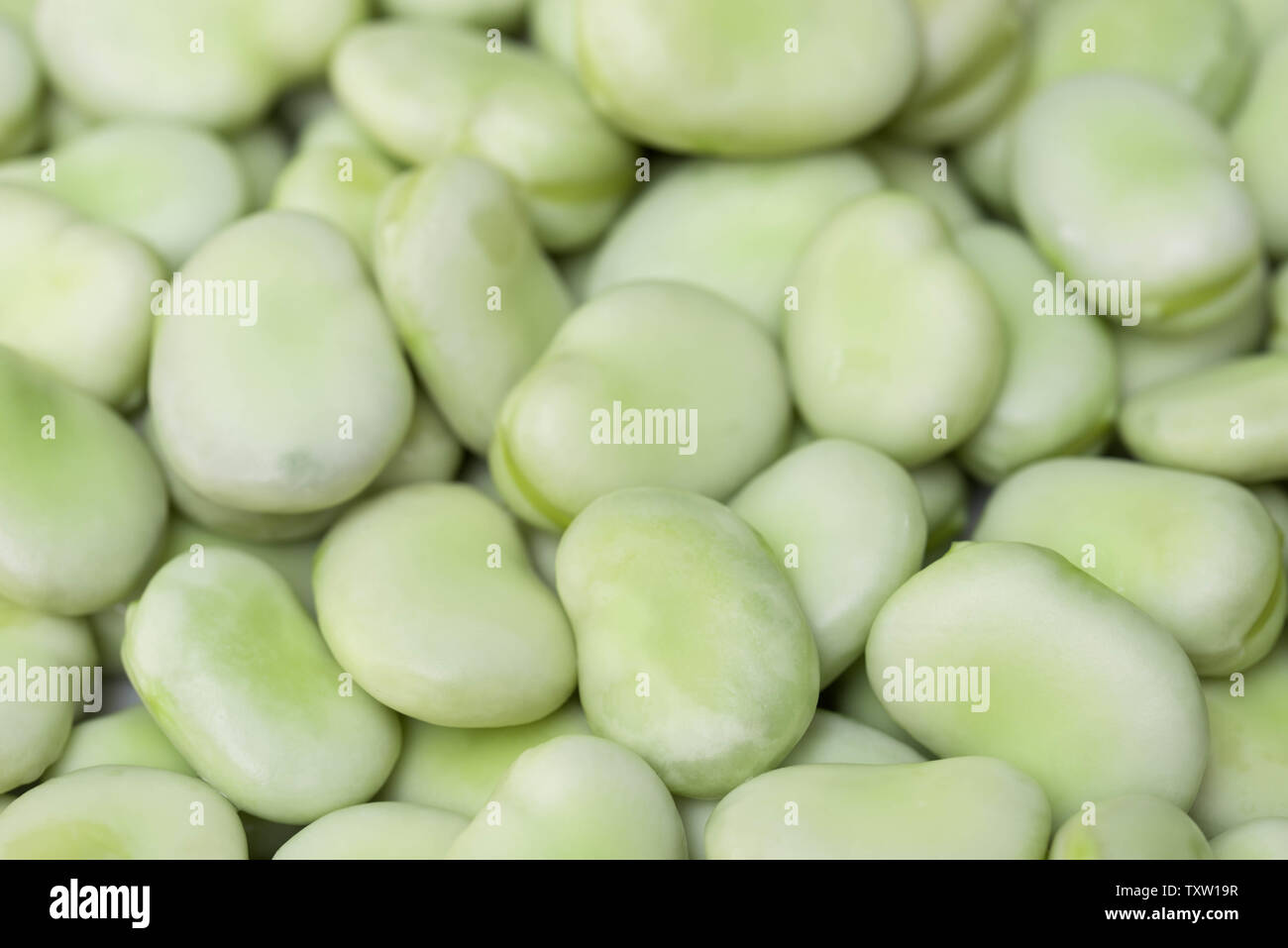 Harvesting faba beans hi-res stock photography and images - Alamy