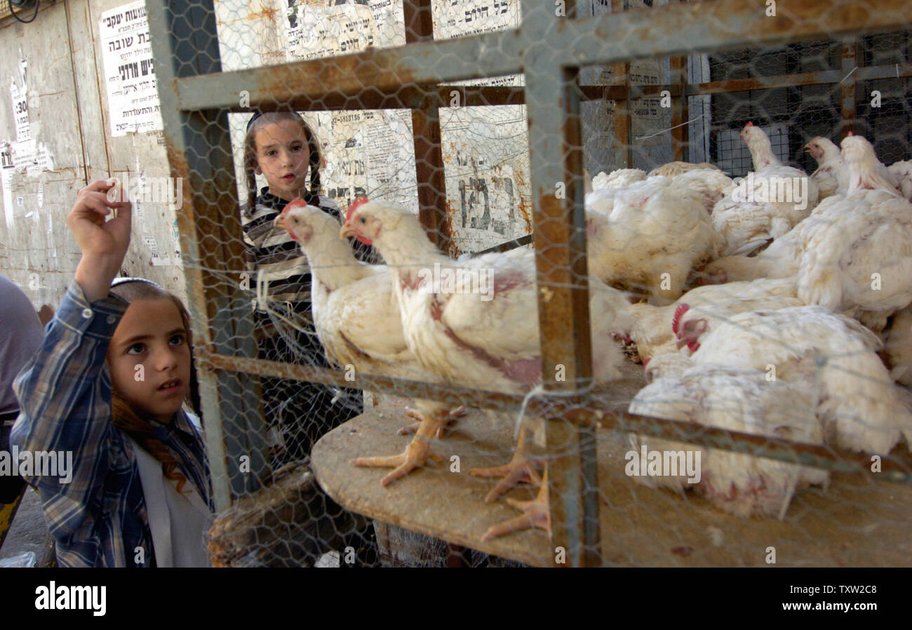 Boys feed chickens hi-res stock photography and images - Alamy