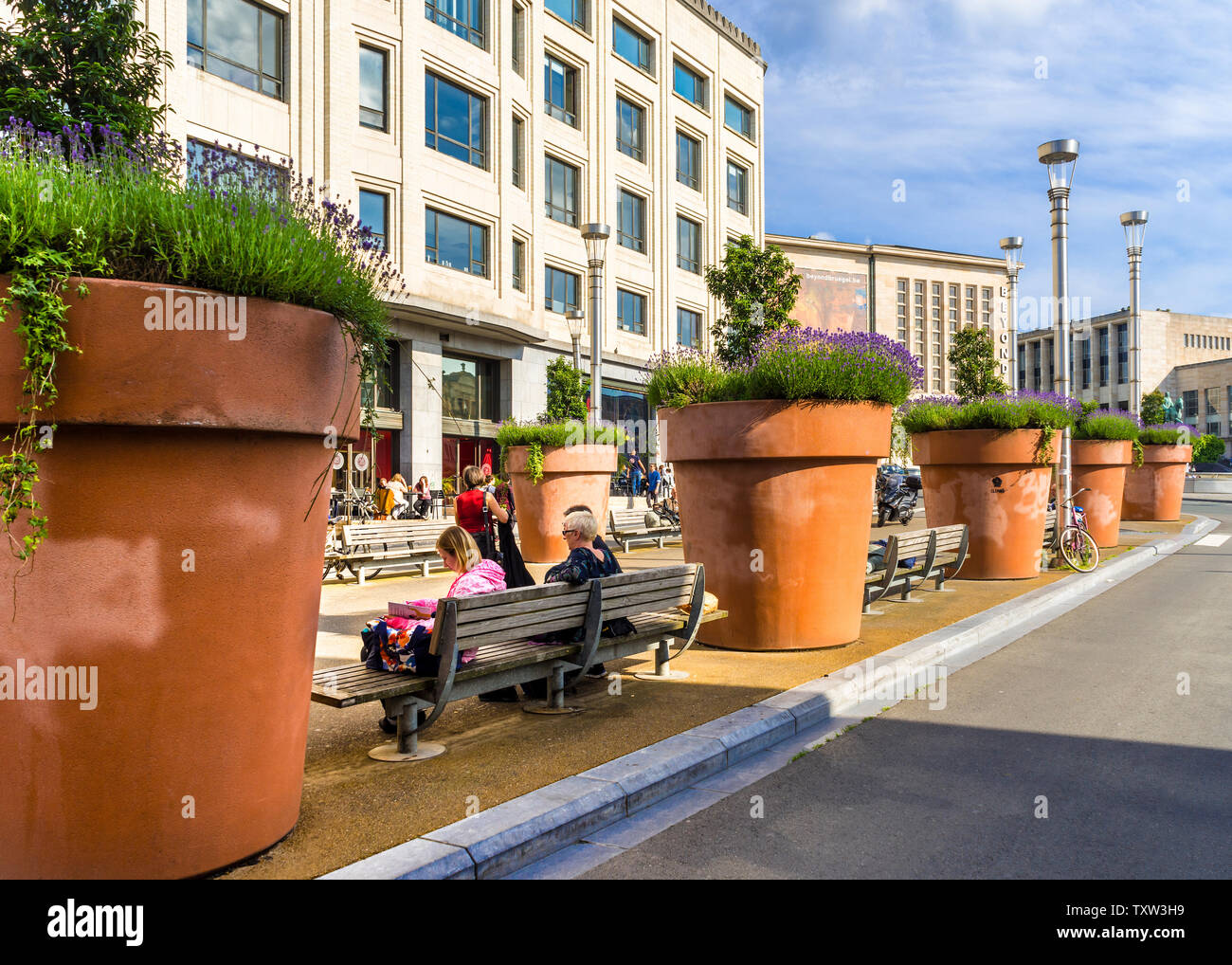 Giant plant pot planters in centre of Brussels, Belgium Stock Photo - Alamy