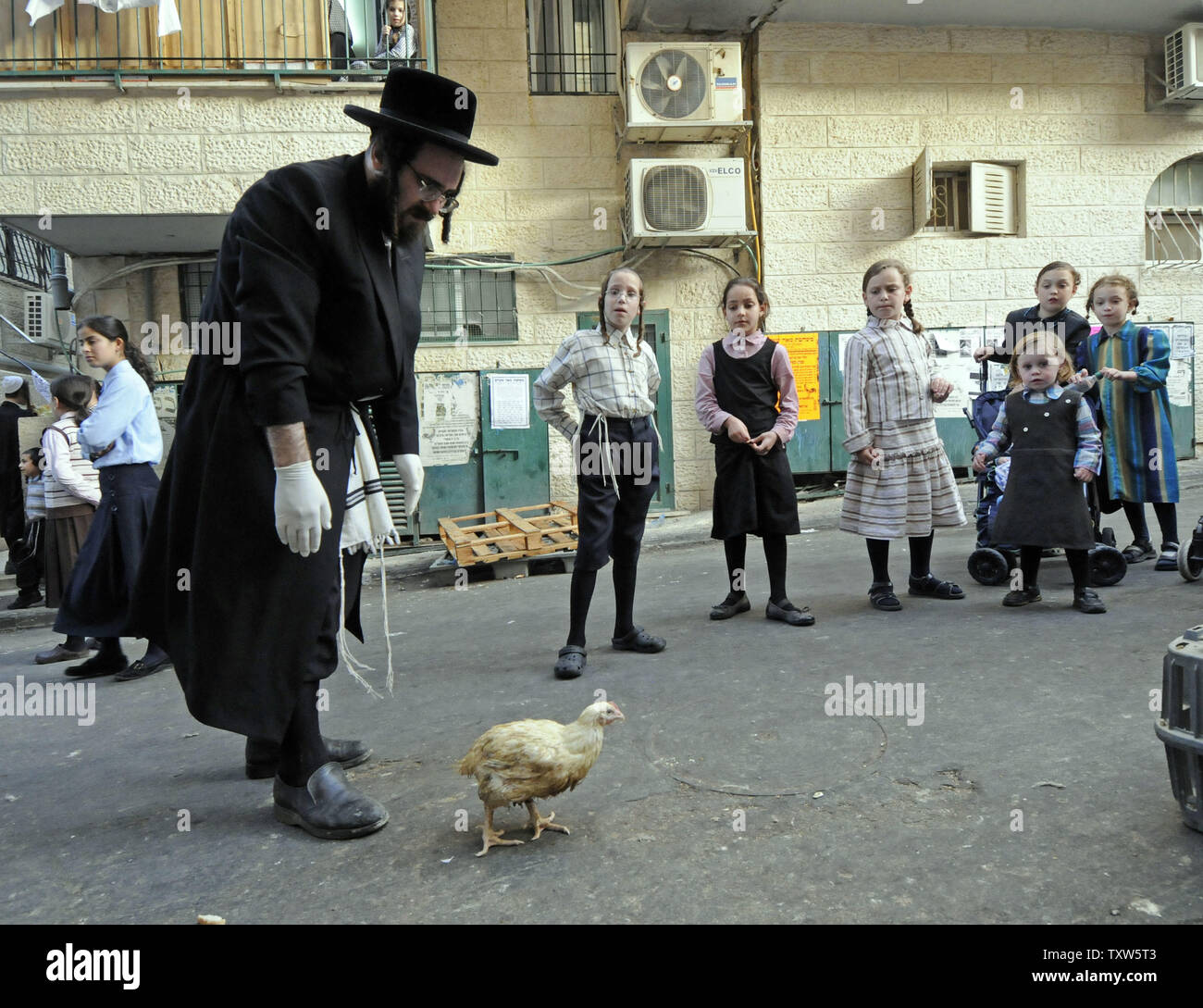 An Ultra-Orthodox Jew checks a chicken that will be used in the ancient ...