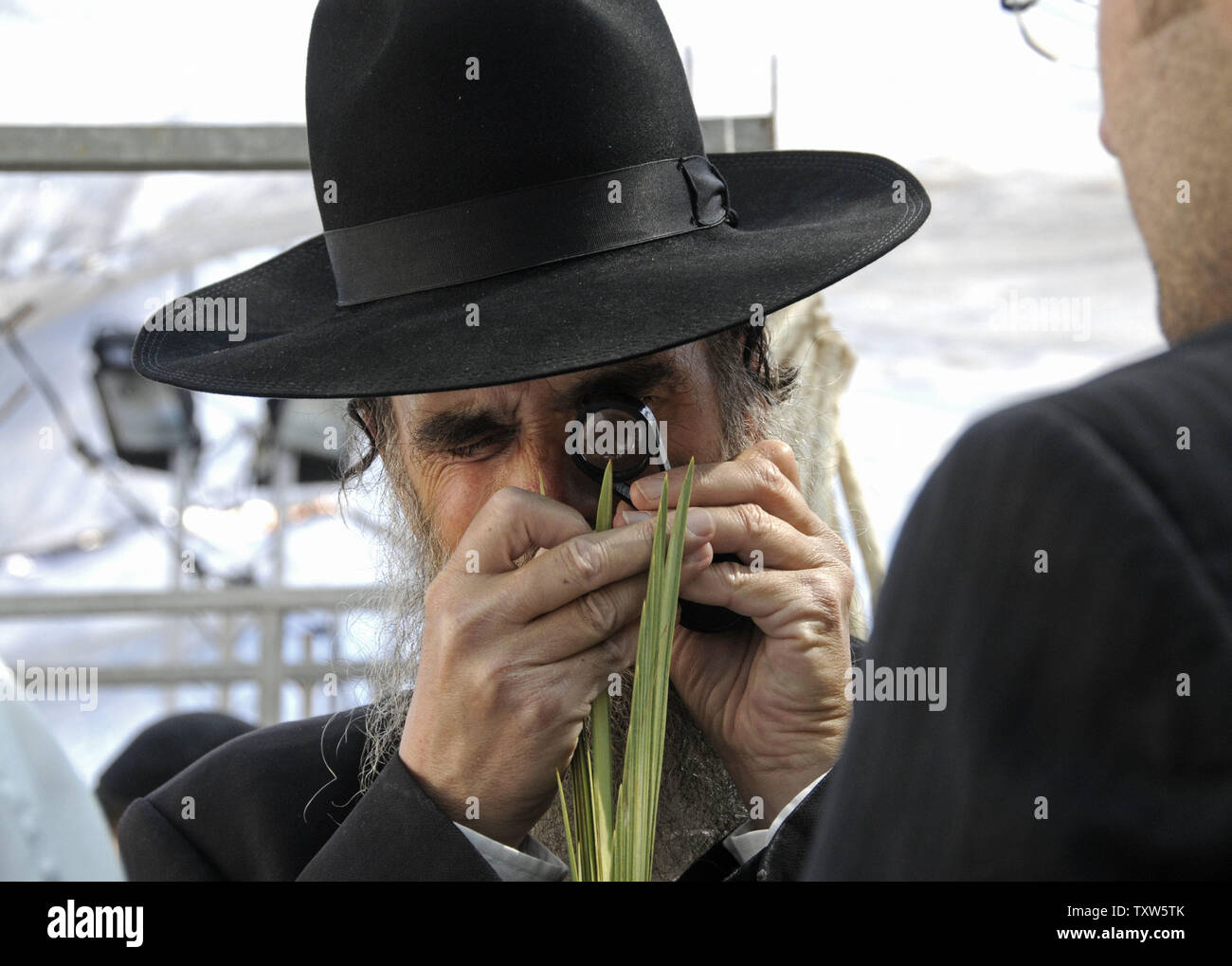 An Ultra-Orthodox Jew uses a magnifying glass to examine a lulav, the ...