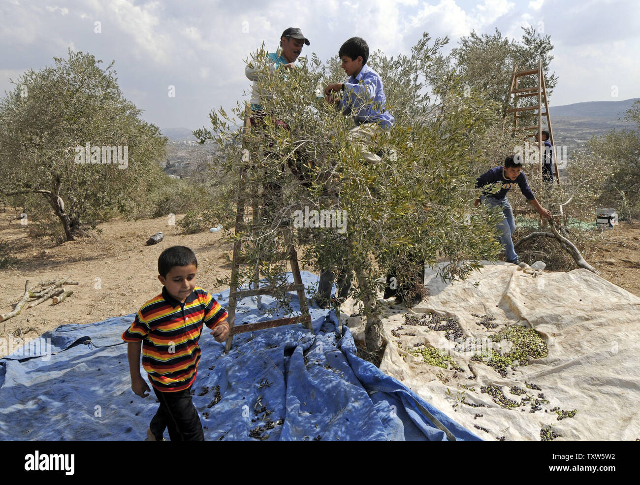 Githa hi-res stock photography and images - Alamy