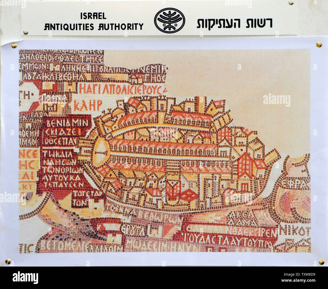 A replica of the Madaba Map of the Holy Land is displayed for the media ...
