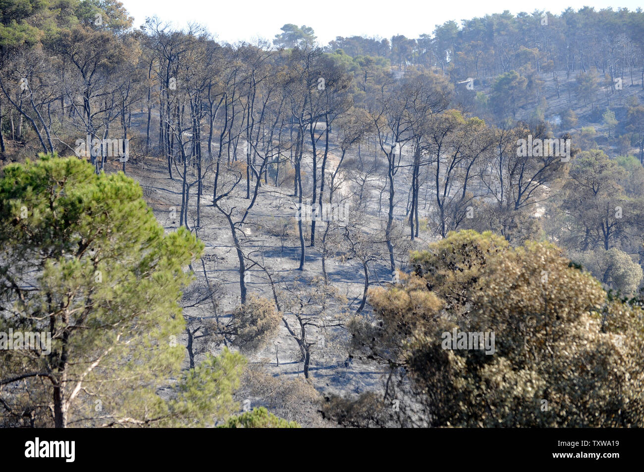 Overview of haifa hi-res stock photography and images - Alamy