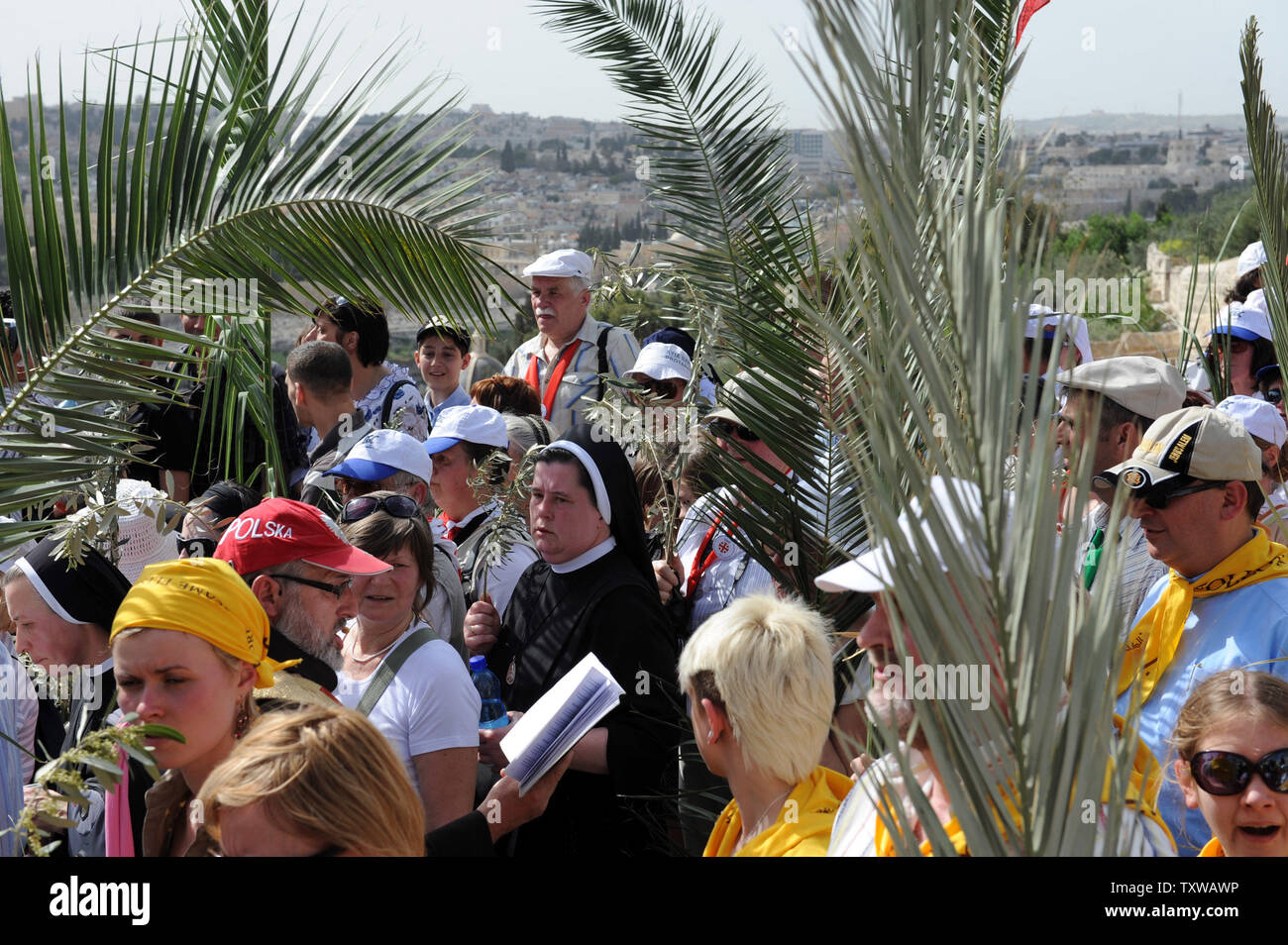 Christians carry palm branches during the Palm Sunday procession on the ...