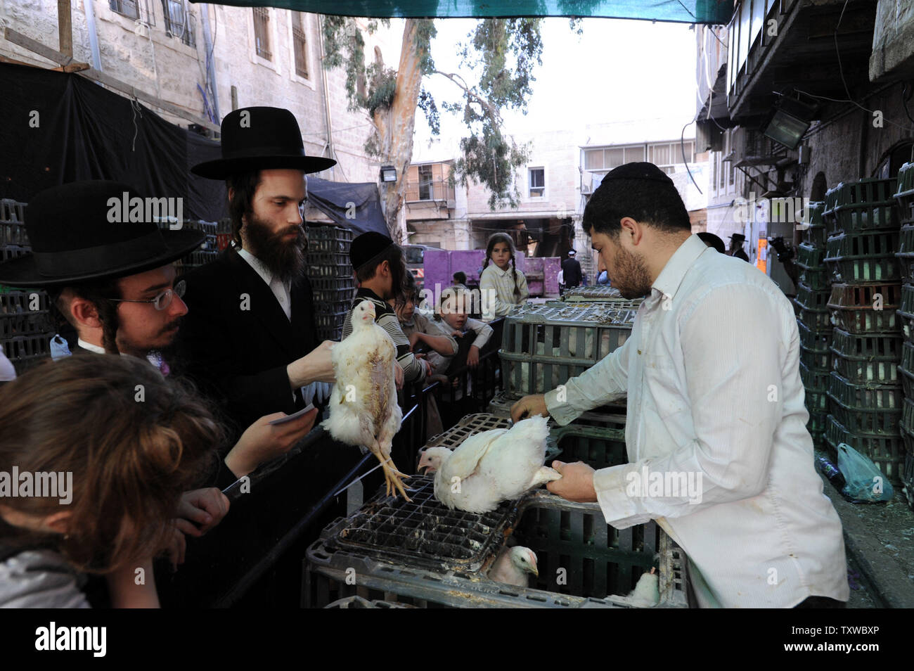 An Ultra-Orthodox Jewish man buys a chicken for the Kaparot ceremony in ...