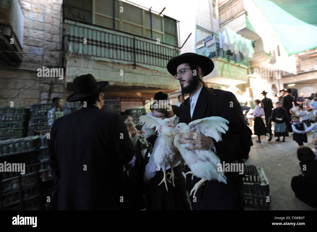 An Ultra-Orthodox Jewish man carries chickens for the Kaparot ceremony ...