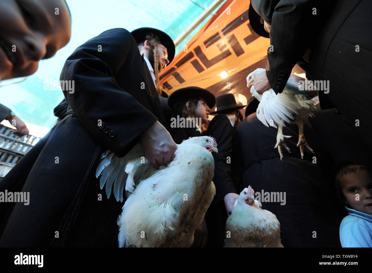 Ultra-Orthodox Jewish men hold chickens for the Kaparot ceremony in the ...