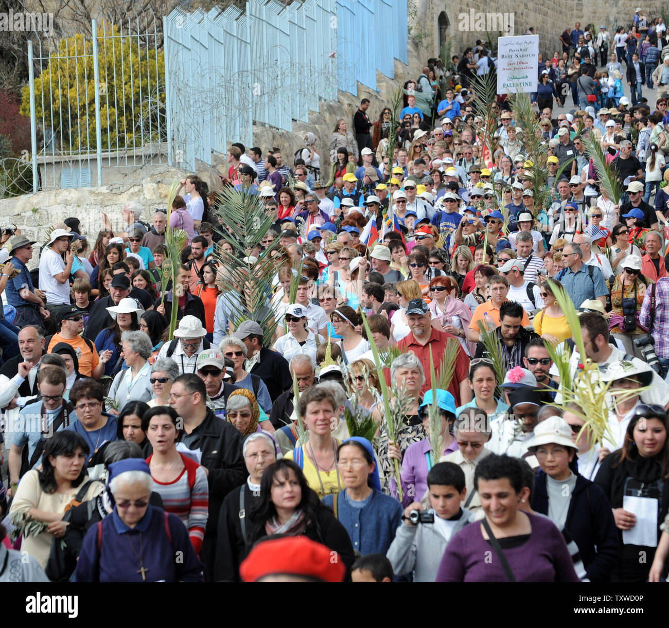 Catholic nuns carry olive branches during the annual Palm Sunday ...