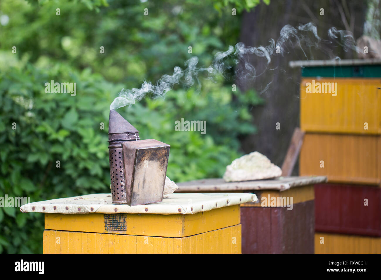 fumigation of bees - a device for making smoke used in beekeeping ...