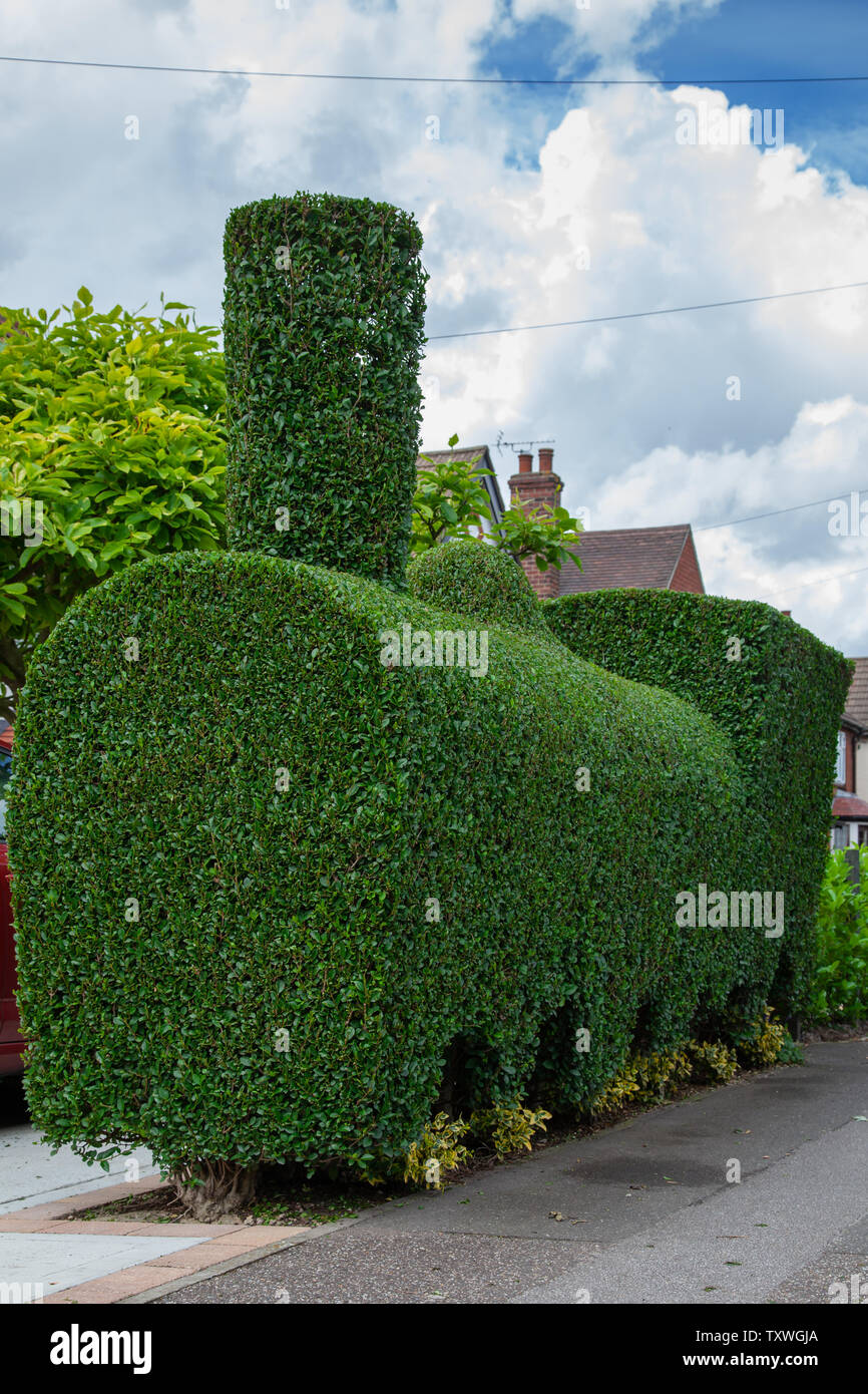 Privet hedges hi-res stock photography and images - Alamy