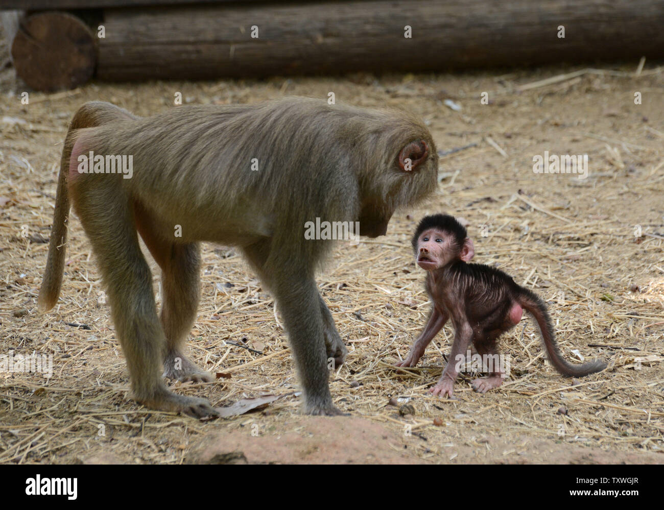 An unnamed mother has her child hi-res stock photography and images - Alamy