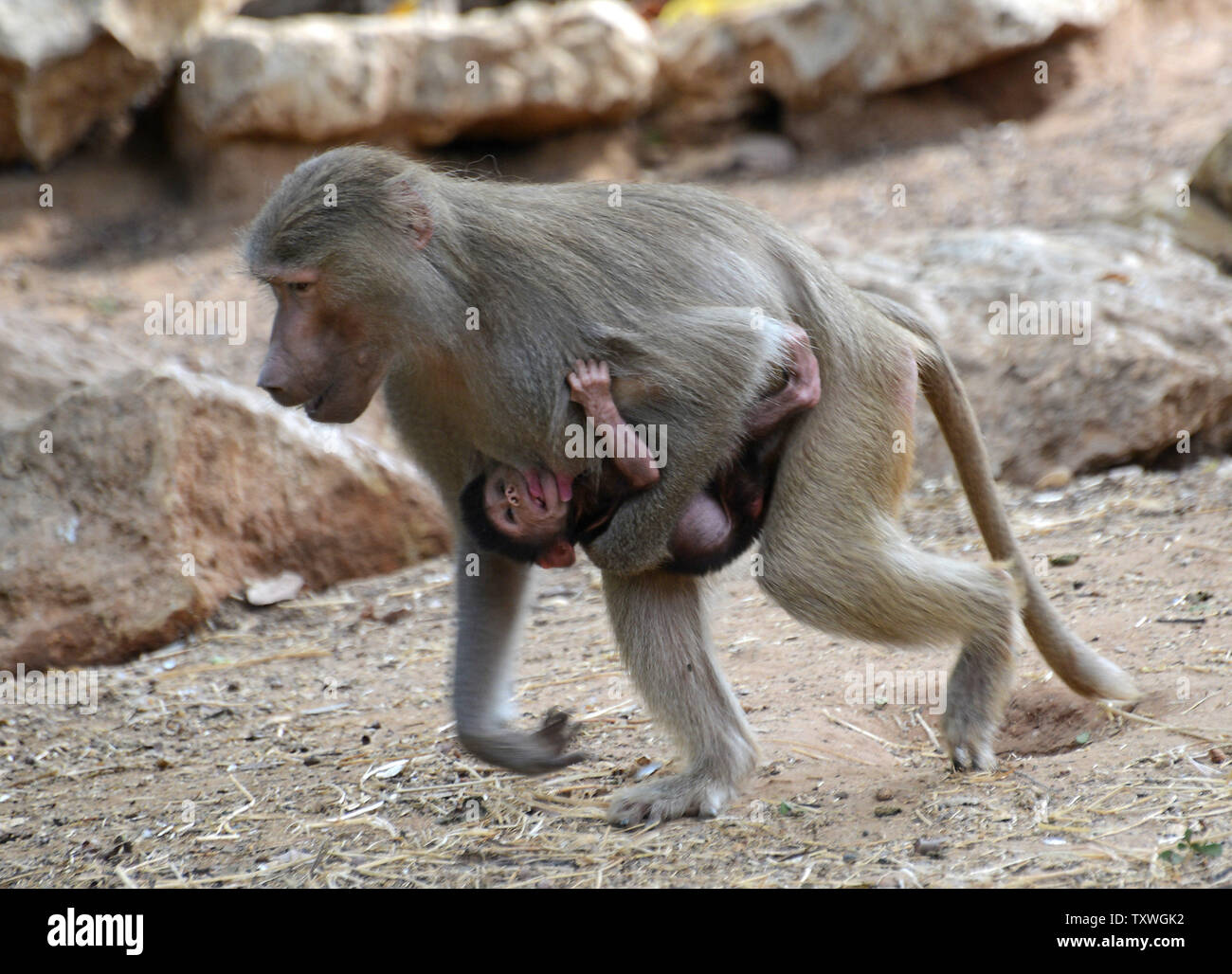 An unnamed mother has her child hi-res stock photography and images - Alamy