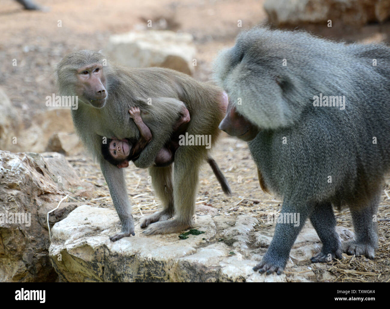 An unnamed mother has her child hi-res stock photography and images - Alamy