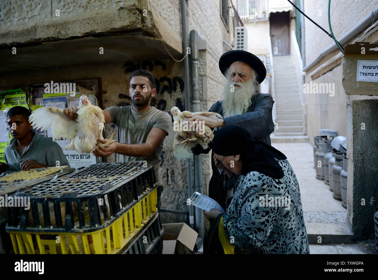Ultra Orthodox Jews perform the Kaparot ceremony with a live chicken in ...