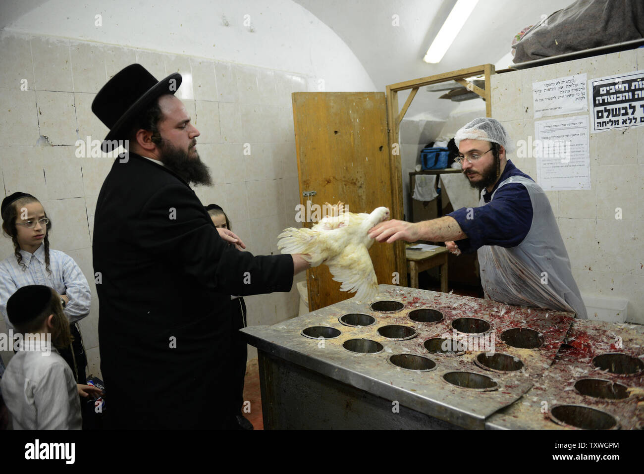 Kosher butcher hi-res stock photography and images - Alamy