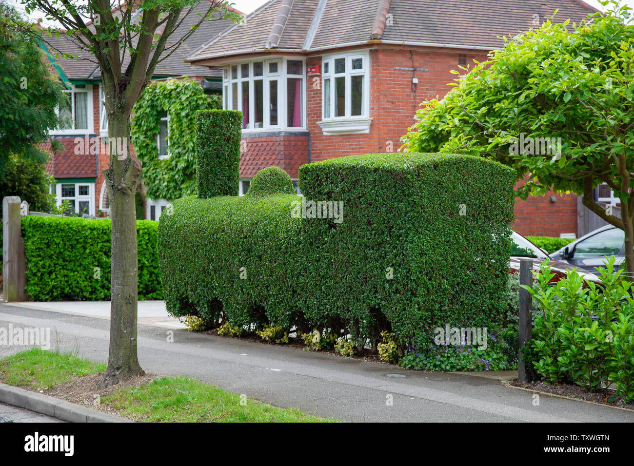 Privet hedge street hi-res stock photography and images - Alamy