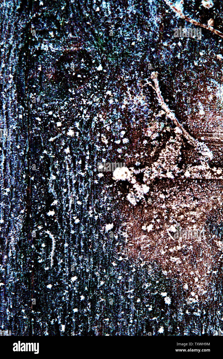 Frozen substrate. Freeze solid ground until blue (be blue with cold ...