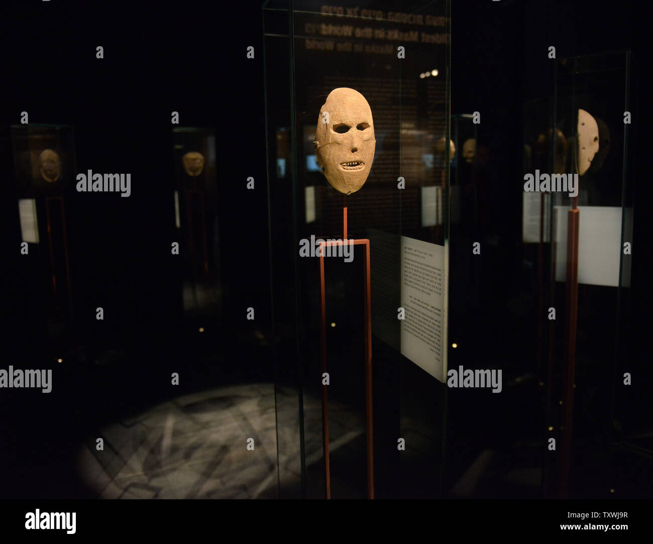 Neolithic museum exhibit hi-res stock photography and images - Alamy