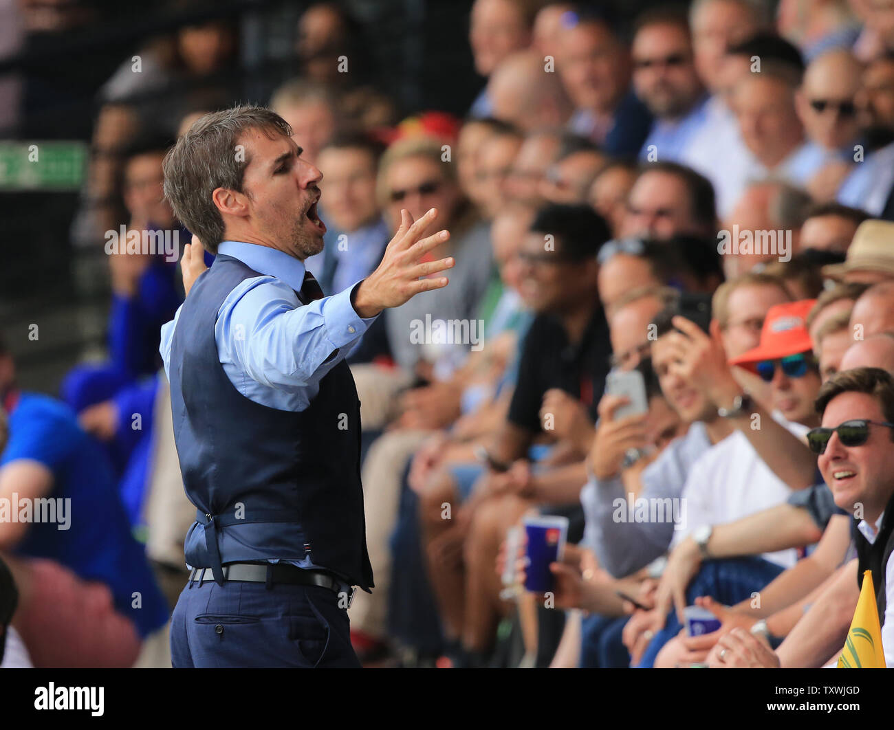 Cricket lords crowd 2019 hi-res stock photography and images - Alamy