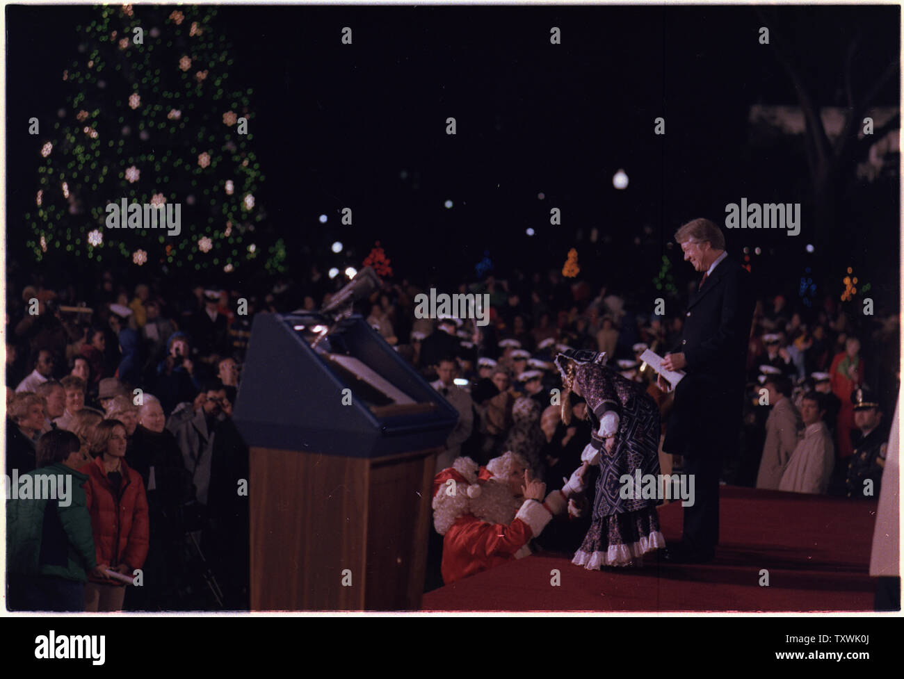 Amy carter tree hi-res stock photography and images - Alamy