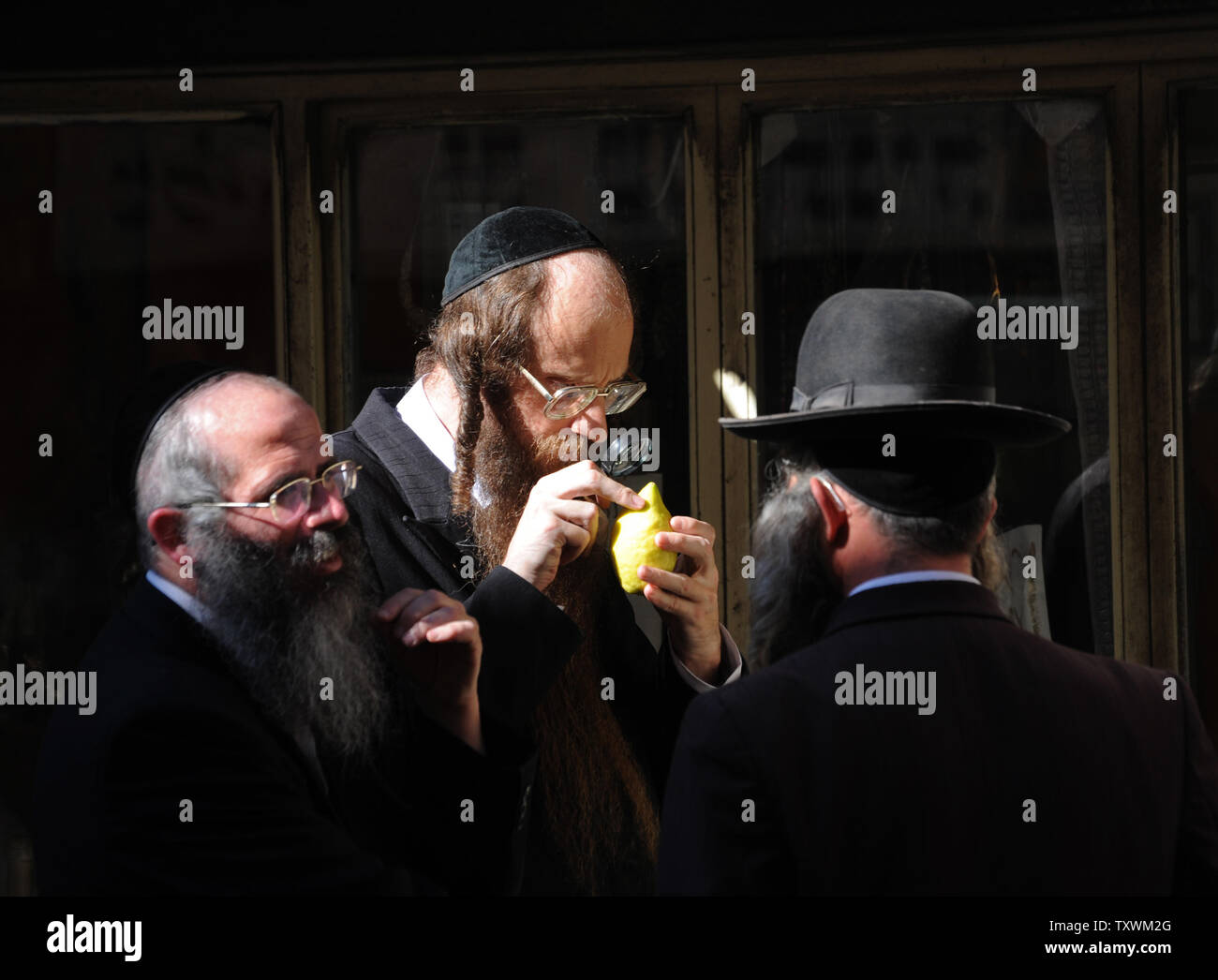 200 israelites hi-res stock photography and images - Alamy