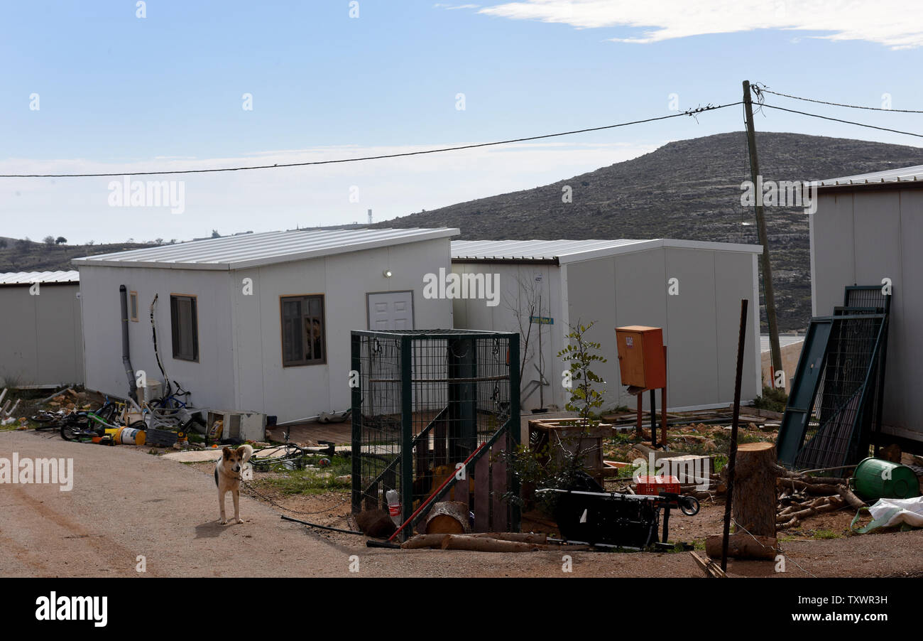 A guard dog stands outside houses in the Israeli illegal settlement ...
