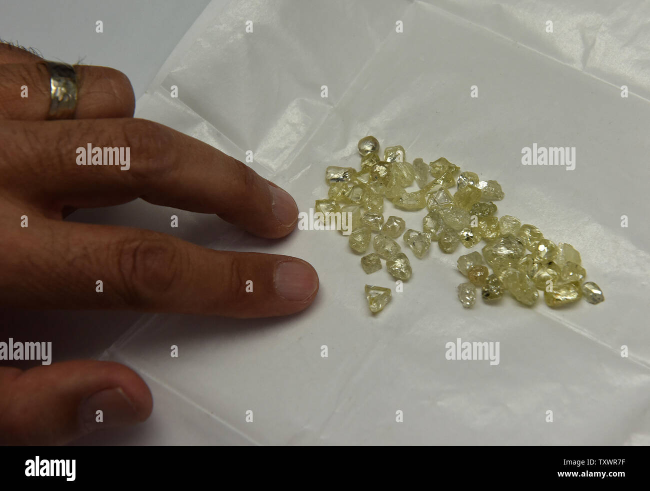 5000 Dollars Stock Photos & 5000 Dollars Stock Images - Alamy